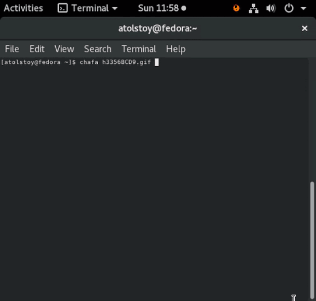 一个记录您终端活动并且生成 gif 图像的工具 | linux 中国 - 动态图库网