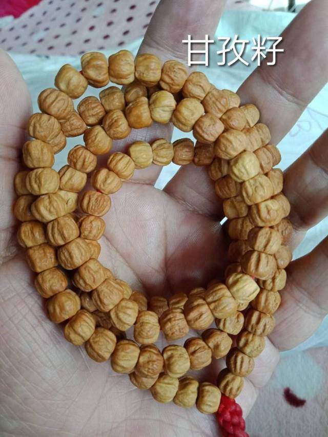 甘孜百香籽盘玩效果图,50年百香籽盘玩效果图,百香籽108配饰效果图(第4页)_大山谷图库