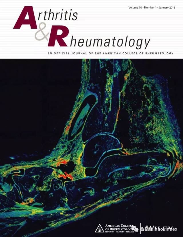 rheumatology,(第14页)_大山谷图库