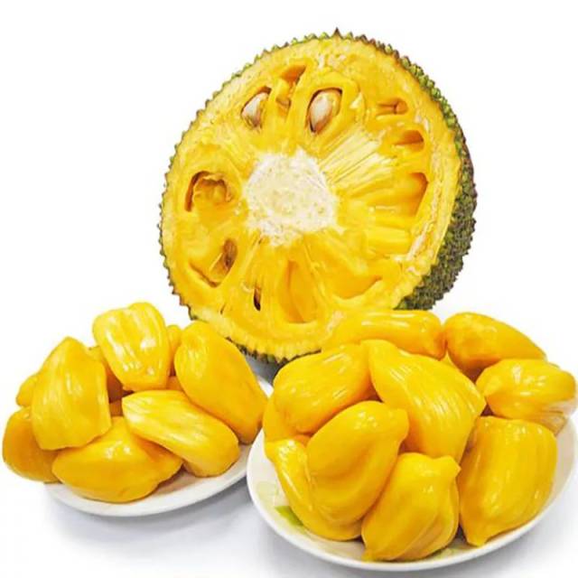 菠萝蜜的营养价值,菠萝蜜的,菠萝蜜图片营养价值_文秘苑图库