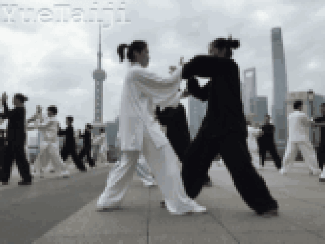 太极拳 动态,太极拳动态图片,太极拳动态壁纸(第2页)_大山谷图库