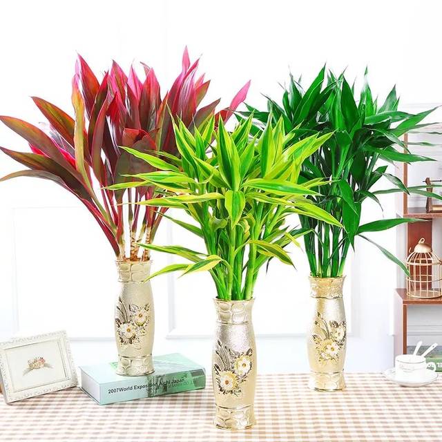 风水里最吉祥的植物,最有利风水的花,风水寓意好的植物(第11页)_大山谷图库