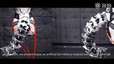 人类尾巴骨图片,人的尾巴骨图片,人长尾巴的图片(第7页)_大山谷图库